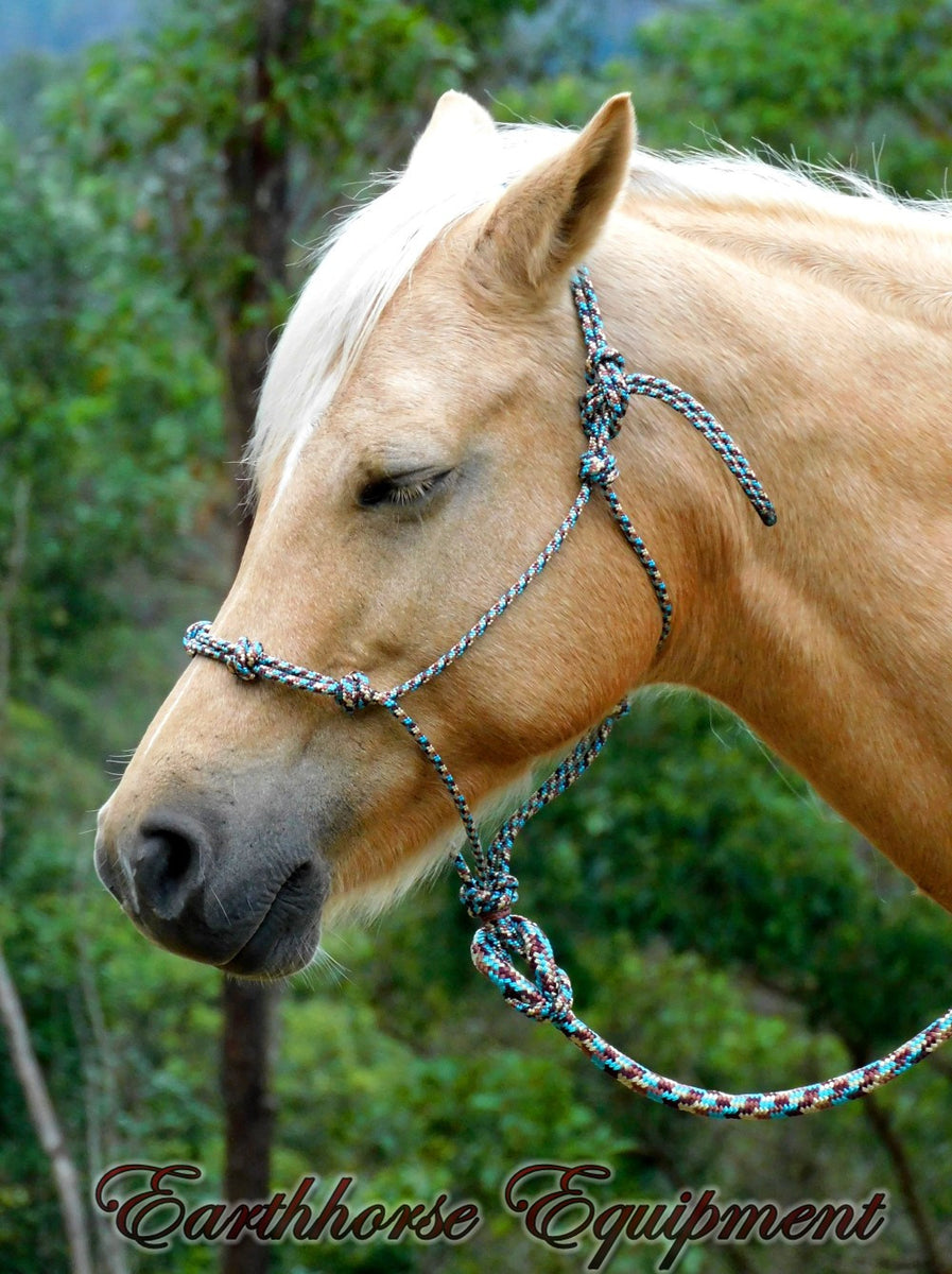 Stiff rope halter, four knot noseband with 12ft loop lead – Earthhorse equipment
