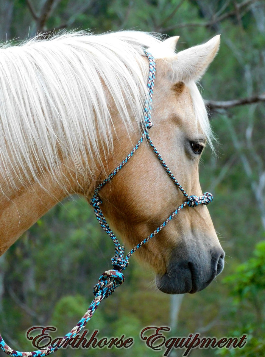 Stiff rope halter, four knot noseband with 12ft loop lead – Earthhorse equipment