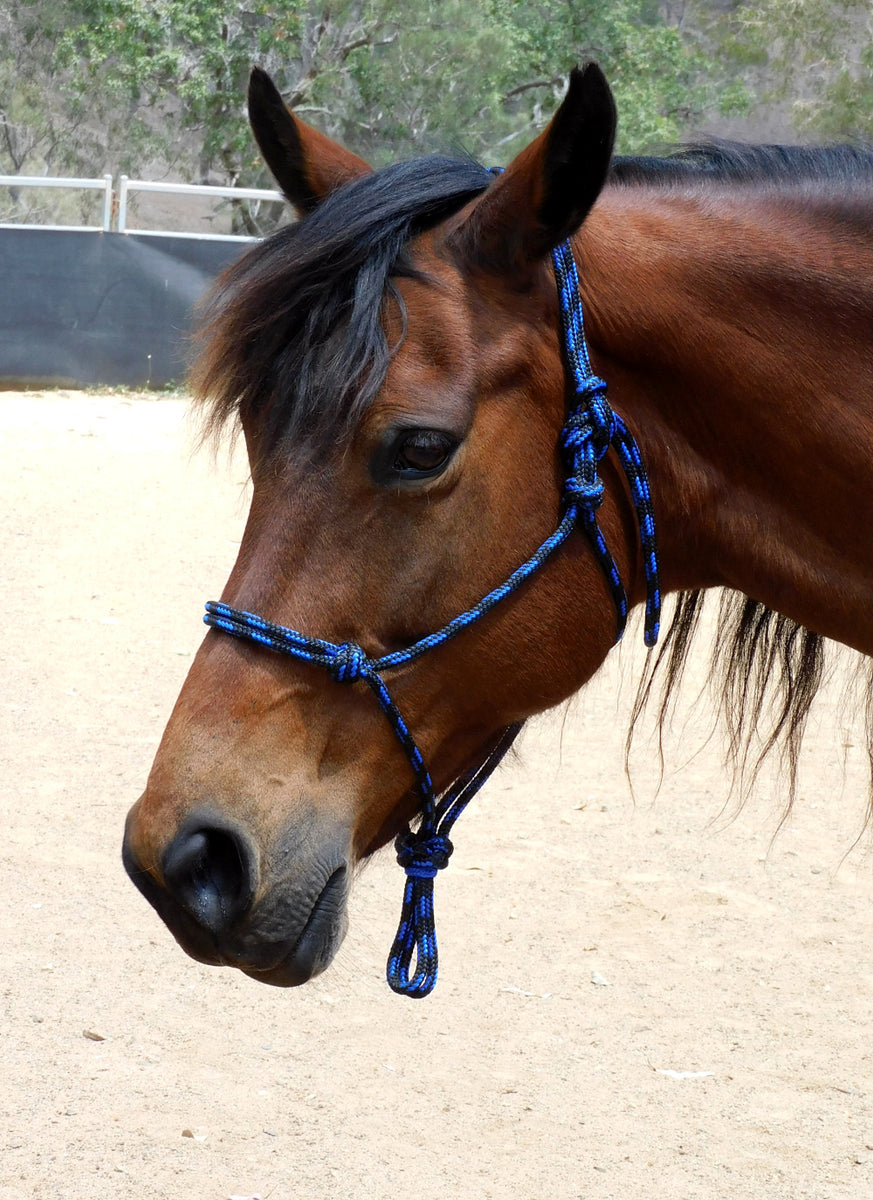 Heavy duty 8mm standard halter, black/royal blue flecks, choose your s ...