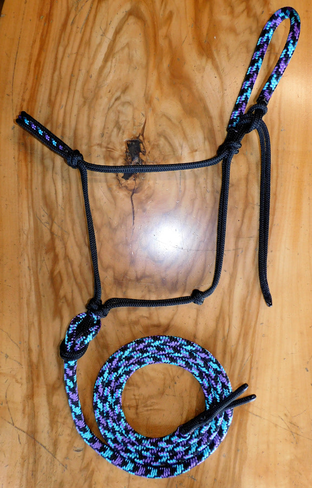 Pre made-Inset nose/padded poll halter and lead set black/"Northern Li ...