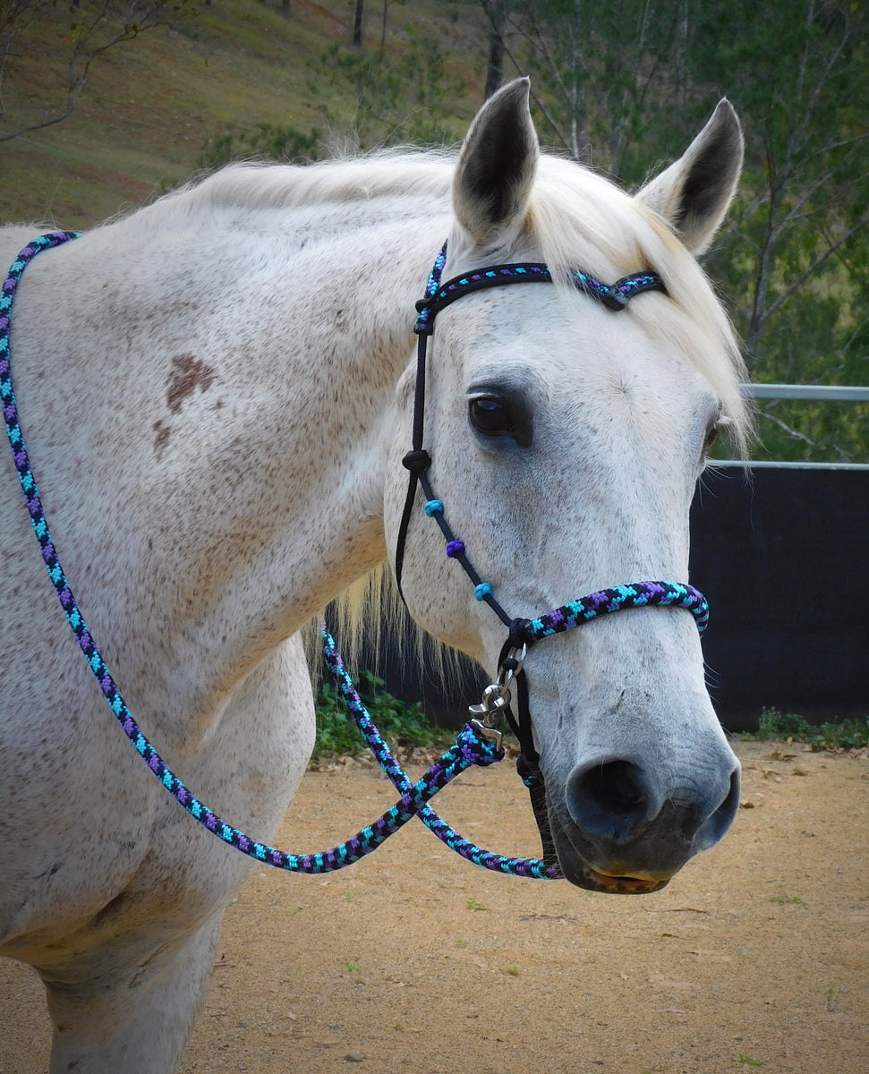 Sliding chin riding halter/reins set with V brow, Black "Northern Ligh ...