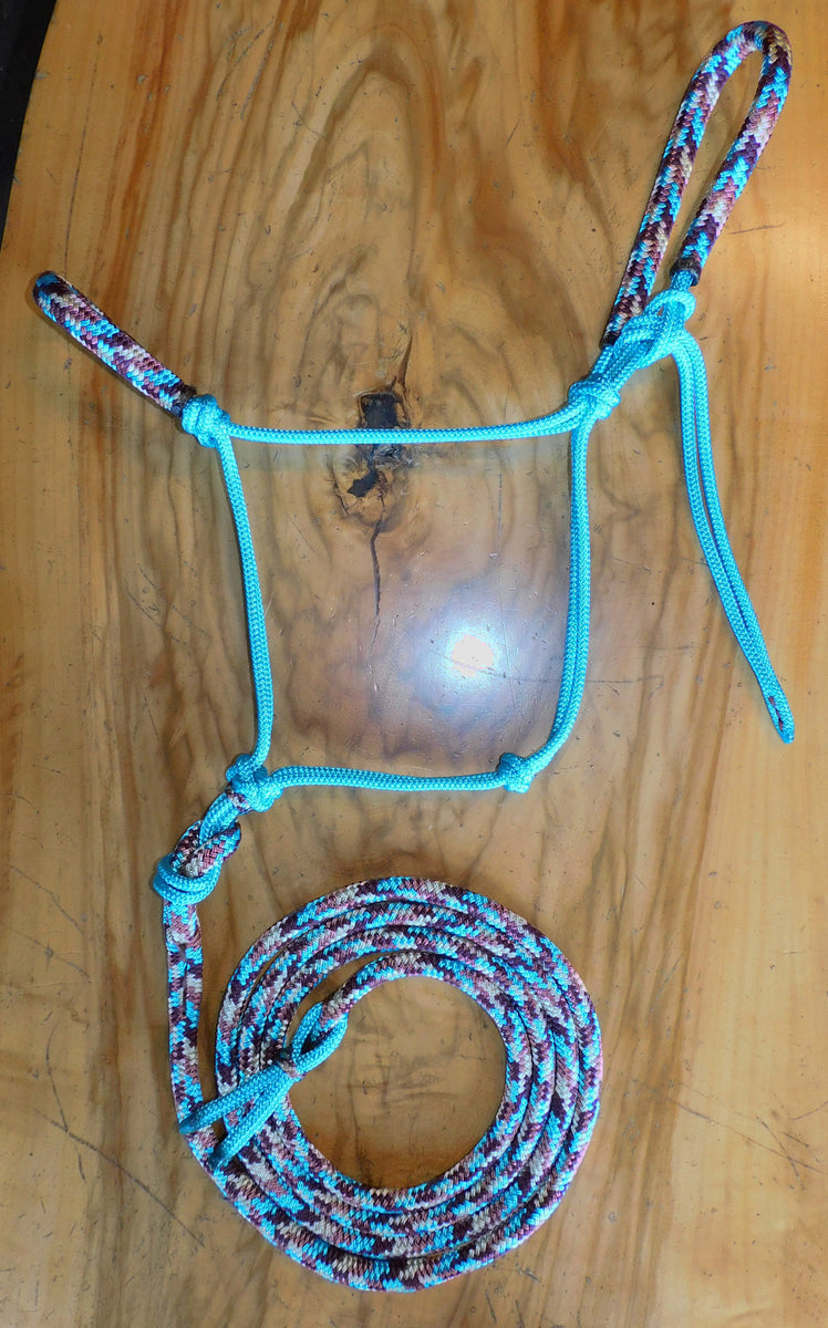 Pre made-Padded halter and lead set, turquoise, "Arizona Sky" large co ...