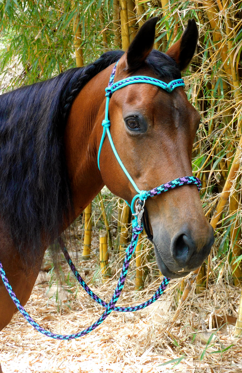 Sliding chin riding halter and reins set, Turquoise with "Northern Lig ...