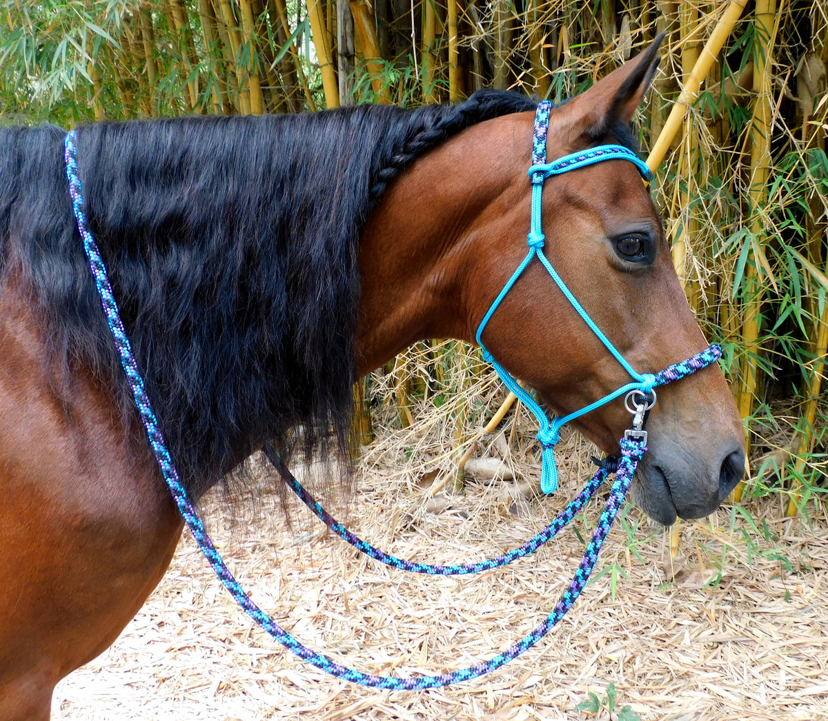 Sliding chin riding halter and reins set, Turquoise with "Northern Lig ...