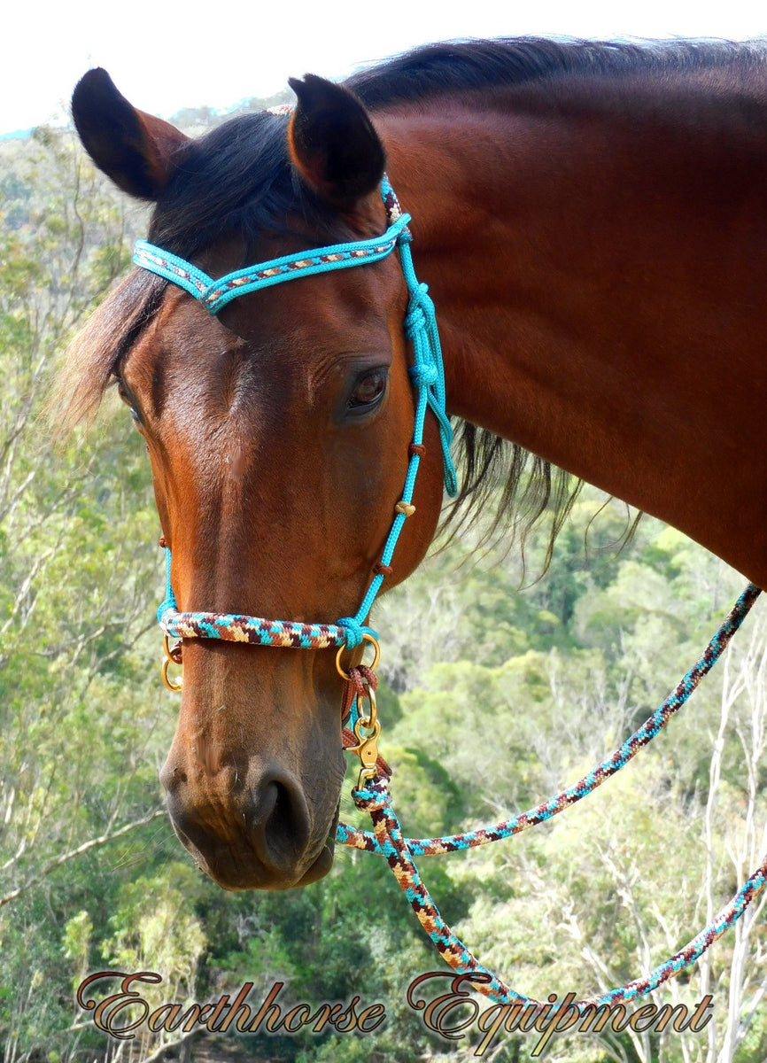 Sliding chin riding halter/reins set,V brow, Turquoise,"Arizona Sky ...