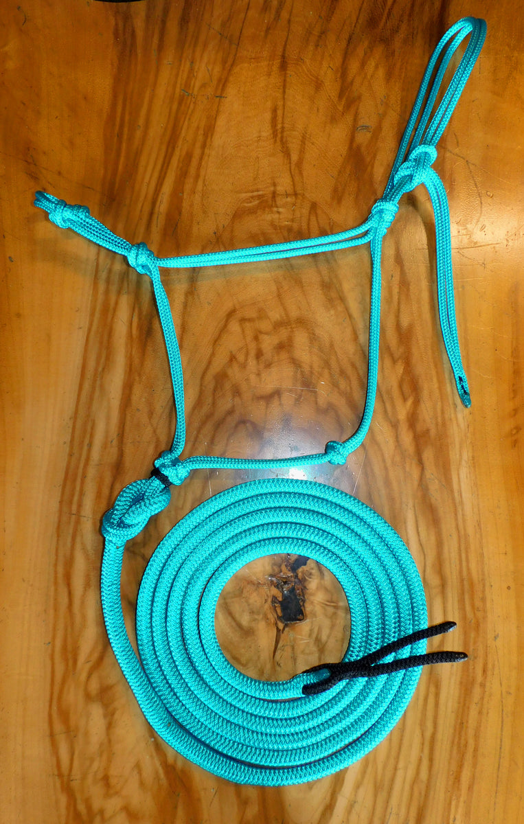 Training Halter and 12ft lead set with four nose knots, Turquoise ...