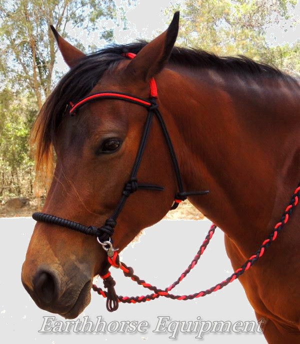 Bitless bridles, CUSTOM MADE TO ORDER ONLY, please email to order ...