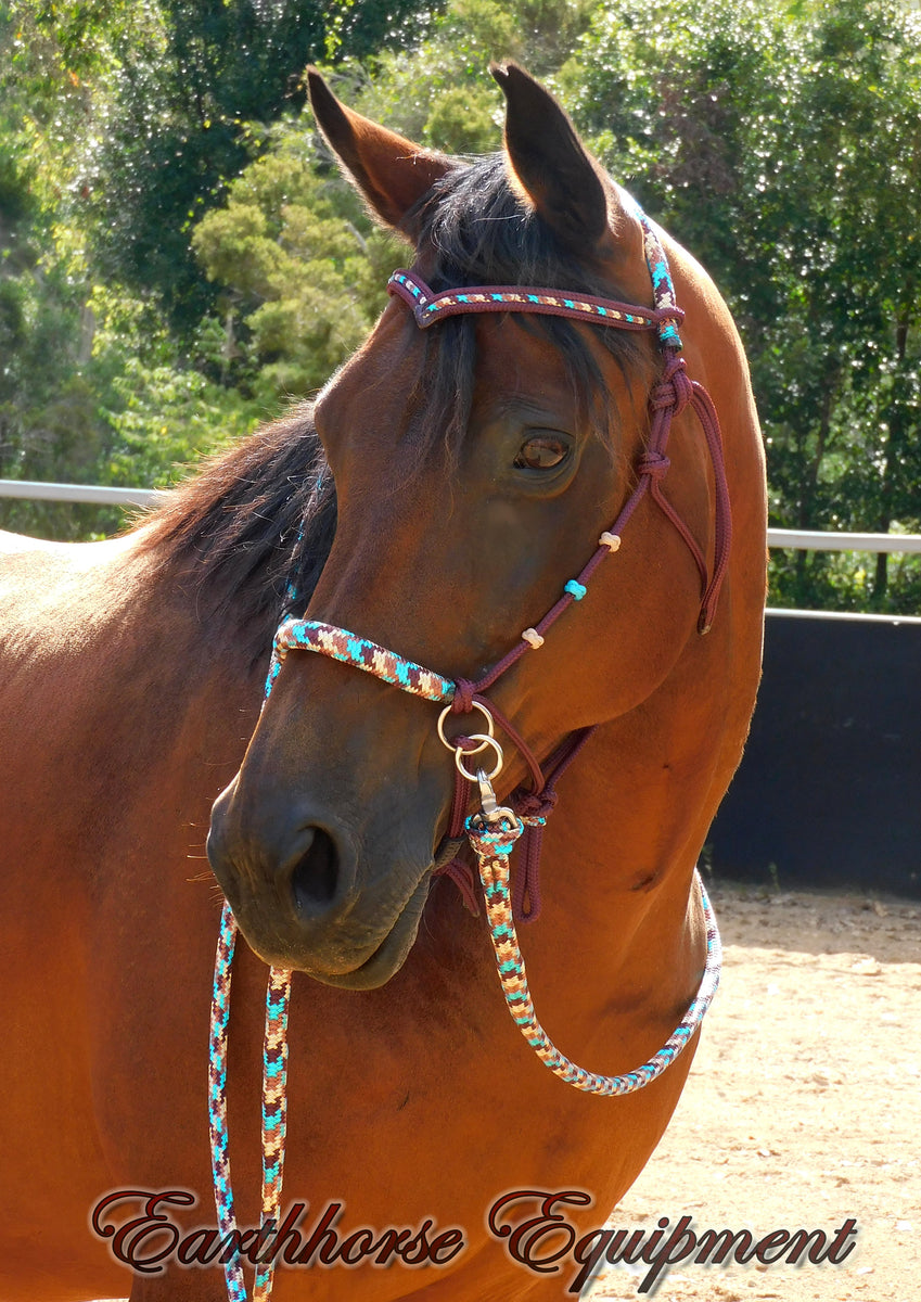 Sliding chin riding halter/reins set,V brow, Burgundy with "Arizona Sk ...