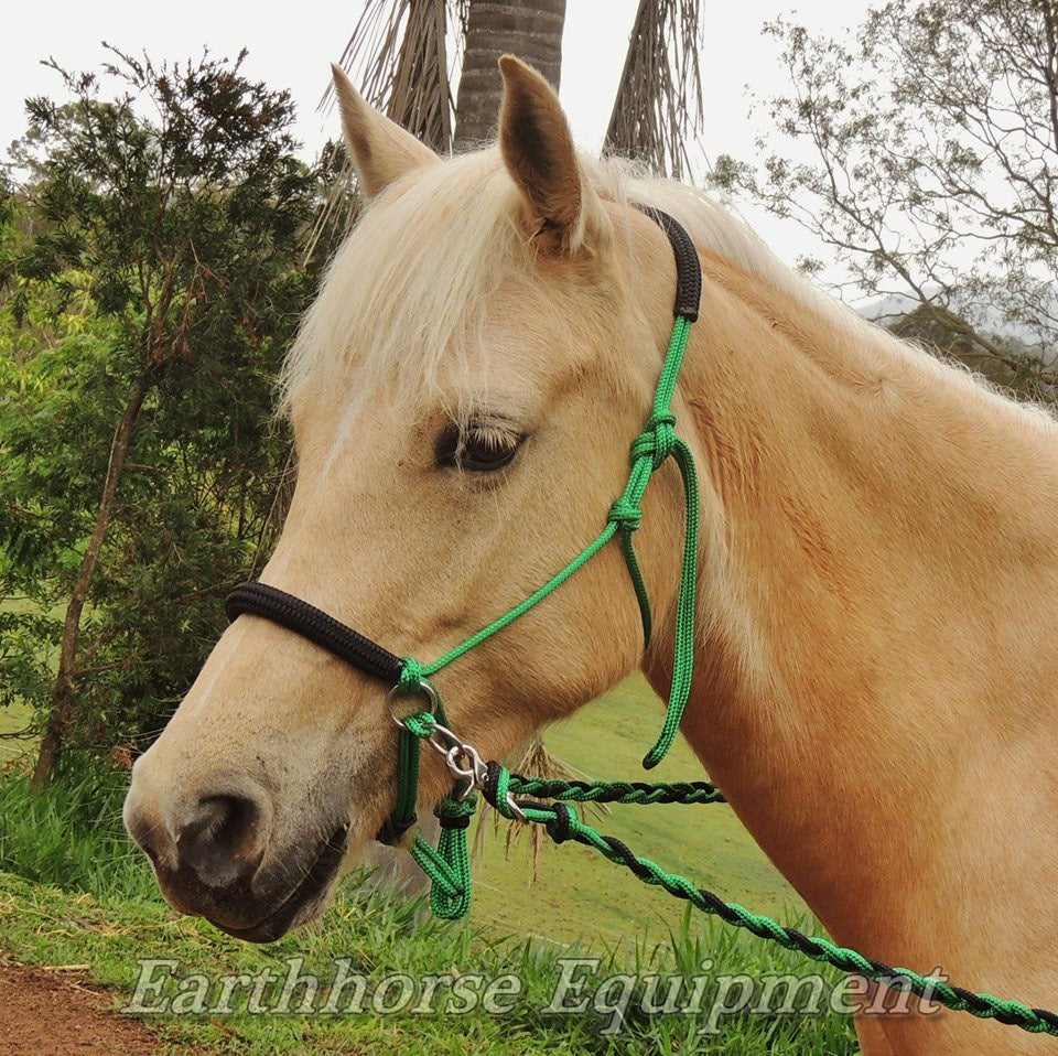 Sliding chin riding halter, basic padded, Green/black padding,riding h ...