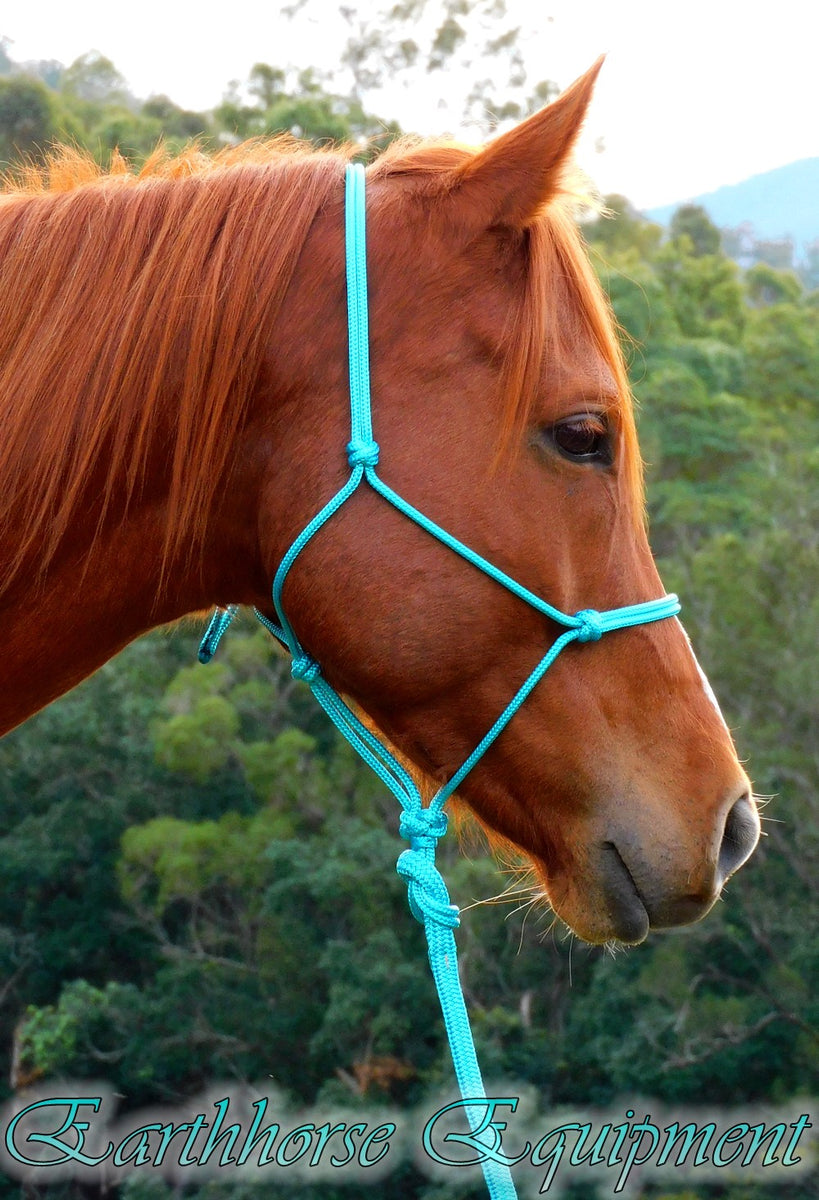 Standard halter,TURQUOISE Equestrian rope, choose size – Earthhorse ...